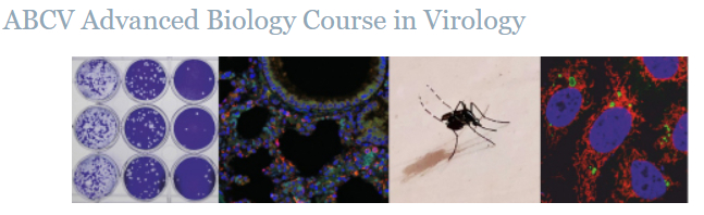 ABCV: Advanced Biology Course in Virology – SFV